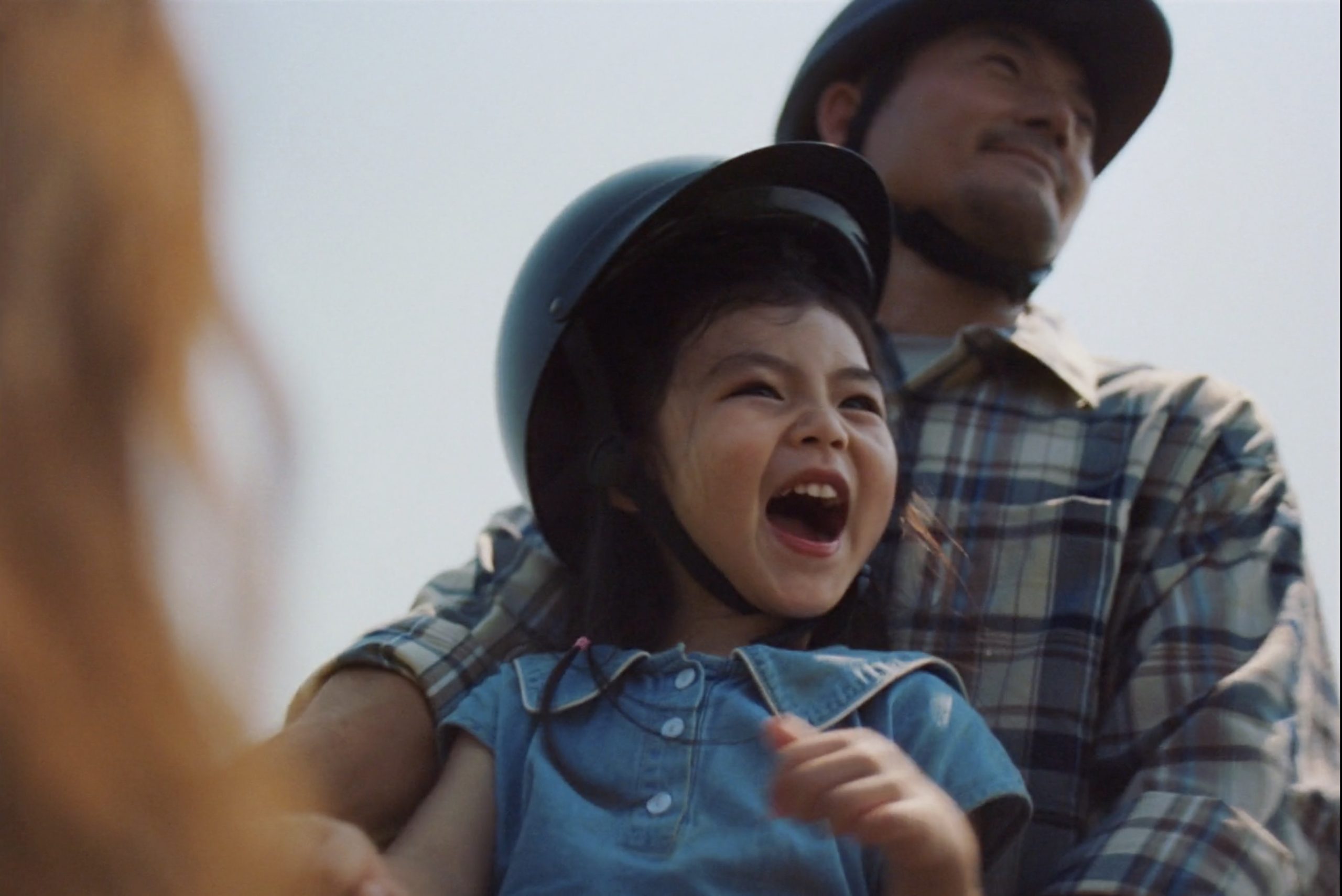 Ford – Metropolitana